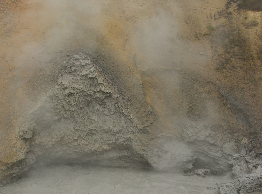 archaea from Yellowstone National Park, WY, USA on August 14, 2022 at ...