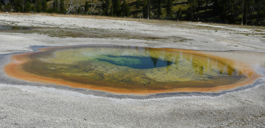 Sulfolobus from Yellowstone National Park, WY, USA on August 16, 2022 ...