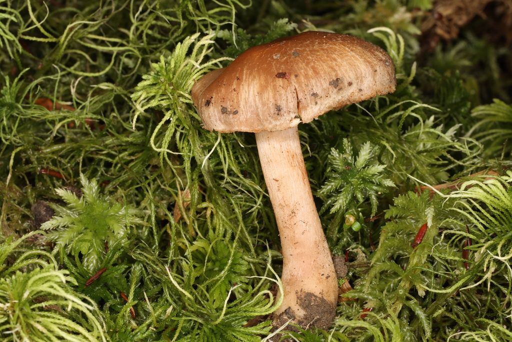 Webcaps from Leeper, PA 16233, USA on September 23, 2022 at 01:29 PM by ...