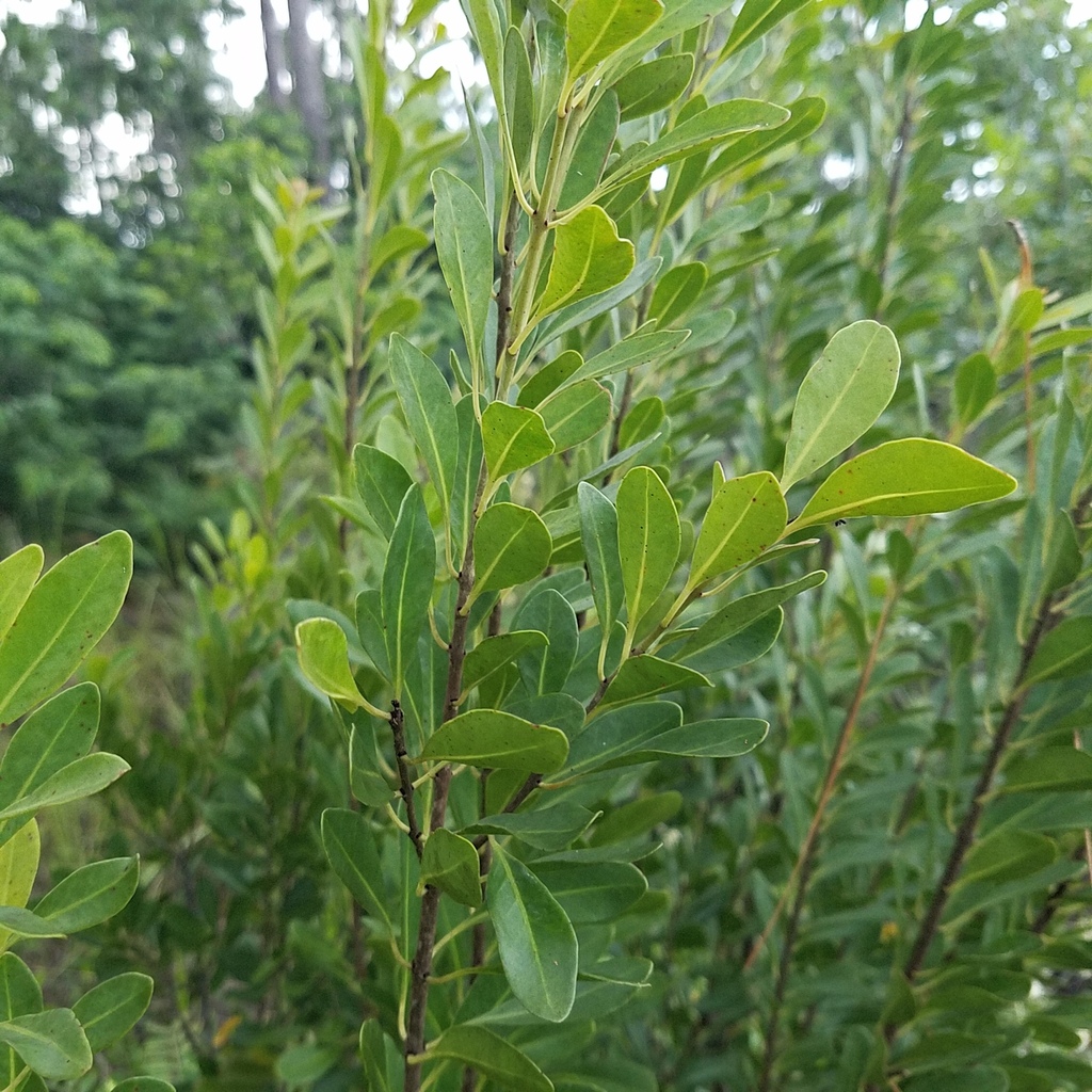 Blolly from Miami-Dade County, FL, USA on September 24, 2022 at 06:23 ...