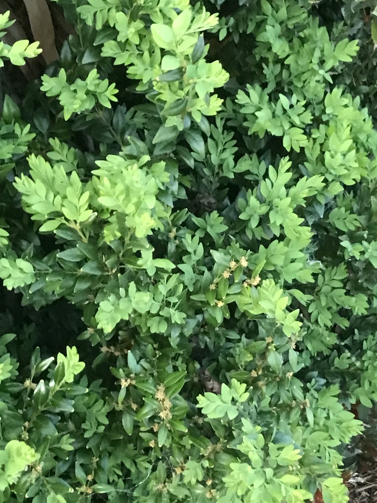 common box from Judith St, Dandenong North, VIC, AU on September 30 ...