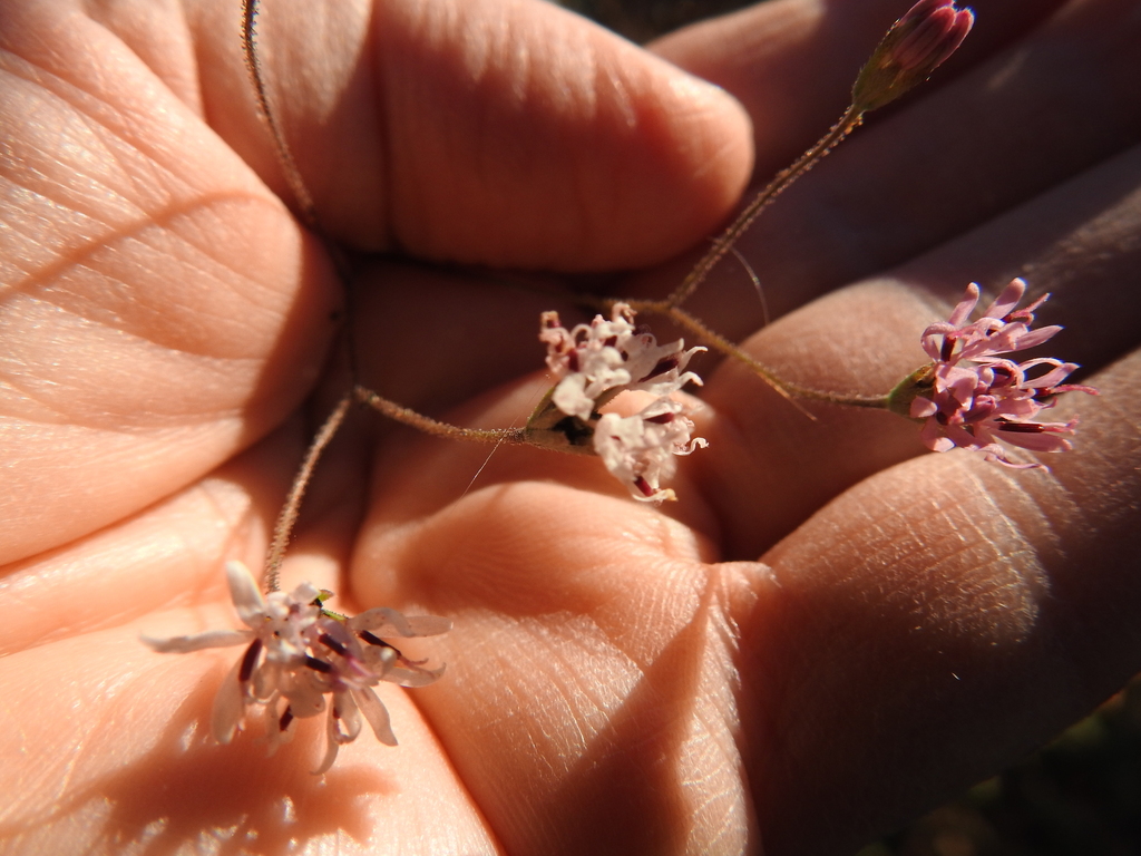 Rosy Palafox from Bastrop County, TX, USA on October 01, 2022 at 08:11 ...