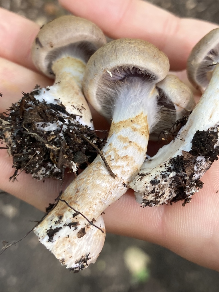 Webcaps from Marquette, MI, US on October 02, 2022 at 11:26 AM by Dylan ...