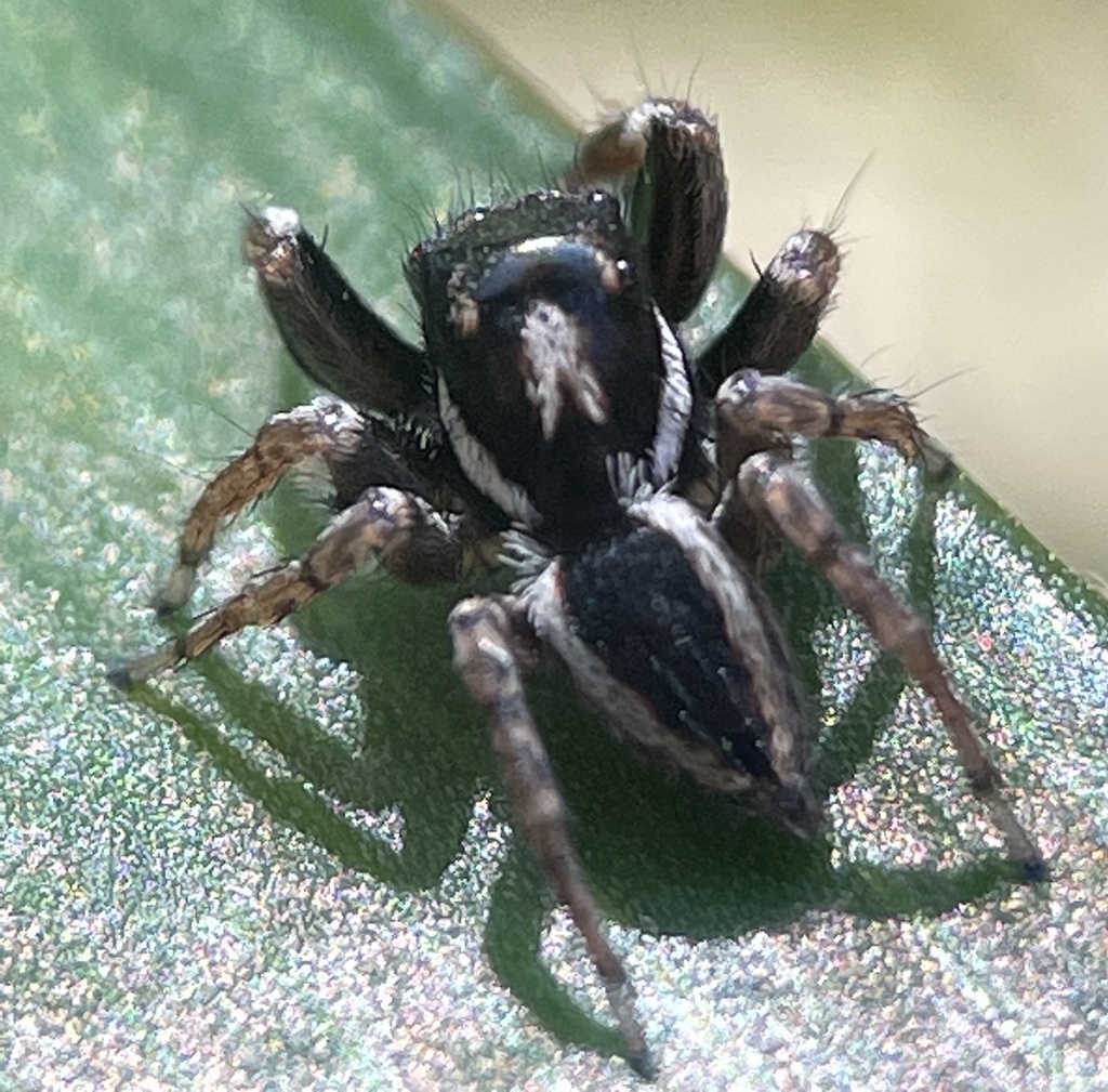 Jotus from Frankston South, VIC, AU on October 03, 2022 at 02:23 PM by ...