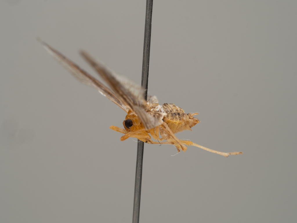 Zoraida from Keppel Hill, Singapore on October 4, 2022 at 02:05 PM by ...