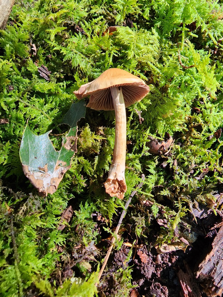 Webcaps from Hampton Township, PA, USA on September 24, 2022 at 10:44 ...