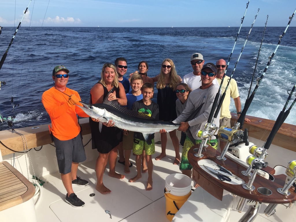 Roundscale Spearfish (Tetrapturus georgii) - Marine Life Identification