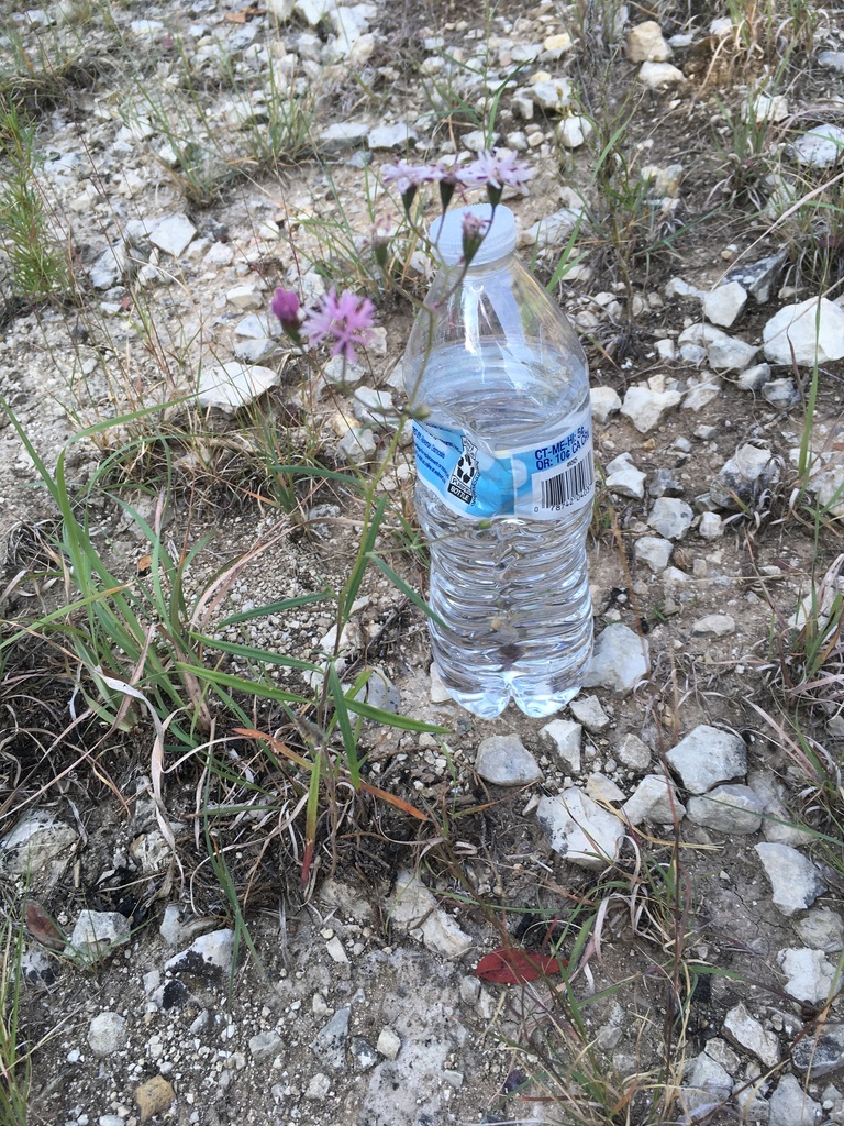 Small Palafox from Hull Rd, Cleburne, TX, US on October 10, 2022 at 09: ...