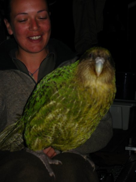 Kakapo in March 2009 by Cherie · iNaturalist