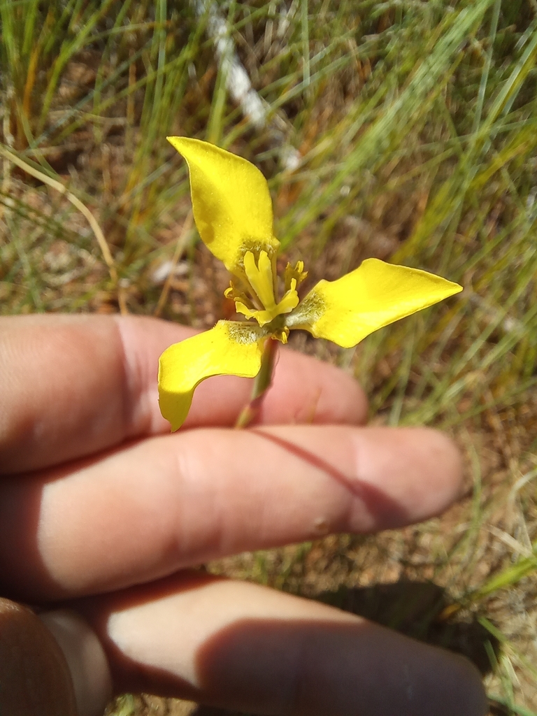 Matrix Uintjie from Greyton on October 9, 2022 at 01:08 PM by Peter ...