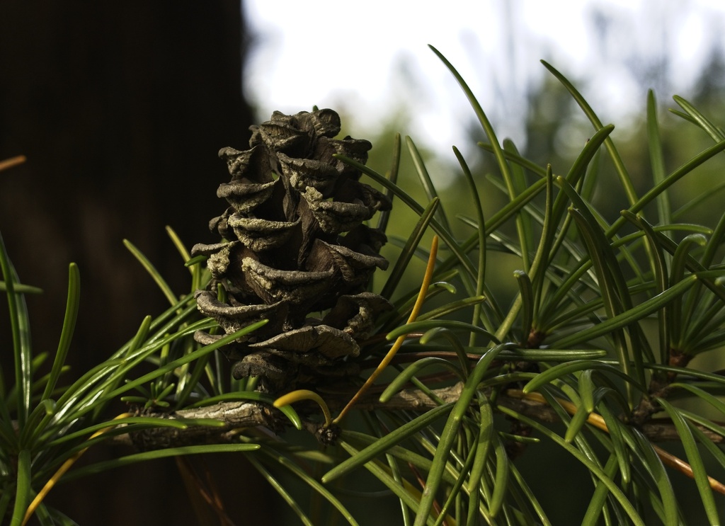 koyamaki from Framingham, MA, USA on September 30, 2022 at 03:10 PM by ...