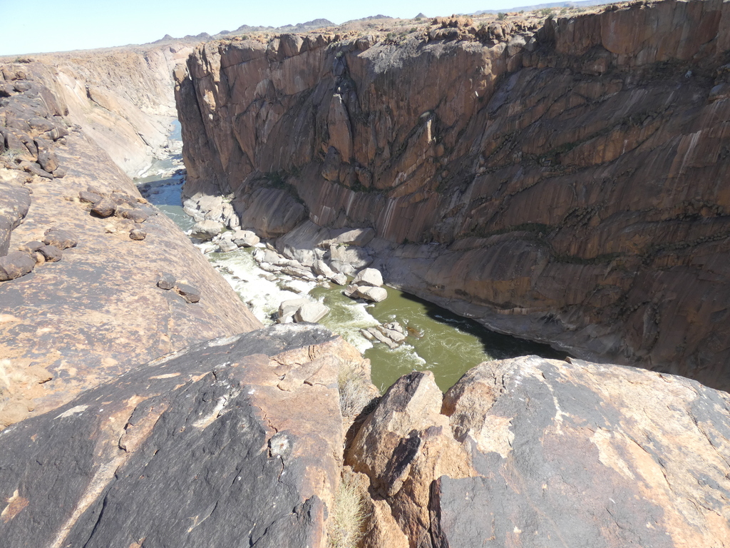 Rock Nine-Awned Grass from Pylpunt-uitkykpunt, Augrabies-waterval ...