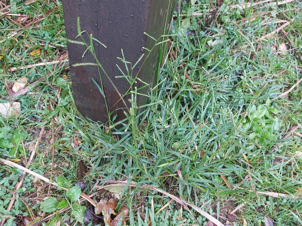 Taranui from 台灣台北 on October 14, 2022 at 10:24 AM by 胡正恆(Jackson Hu ...