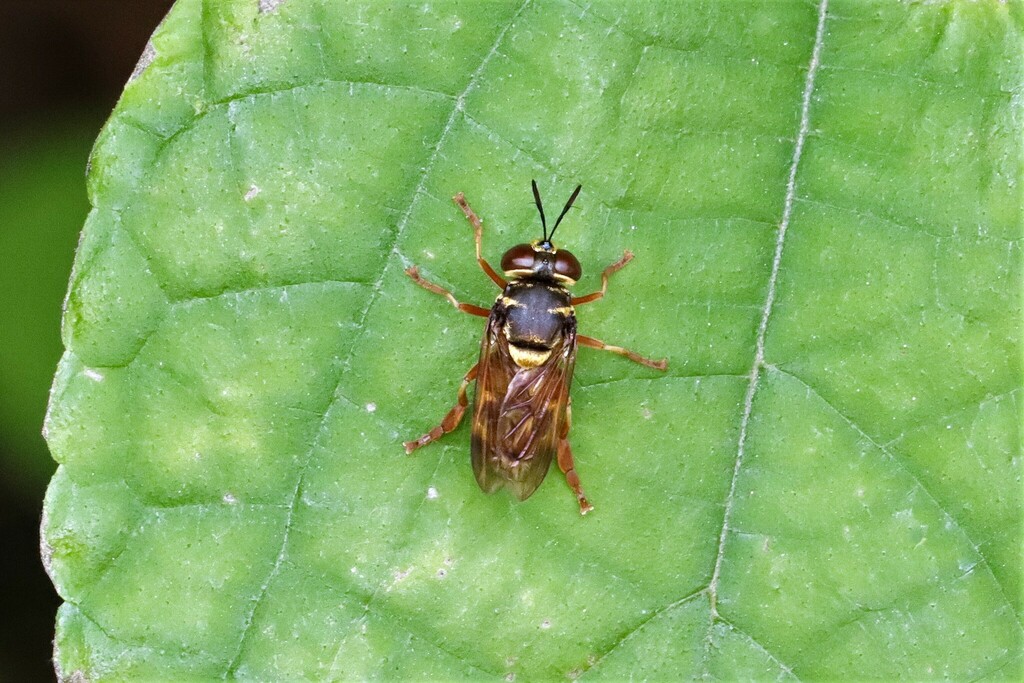 Metadon from Kei Ling Ha Lo Wai, Hong Kong on October 16, 2022 at 09:54 ...