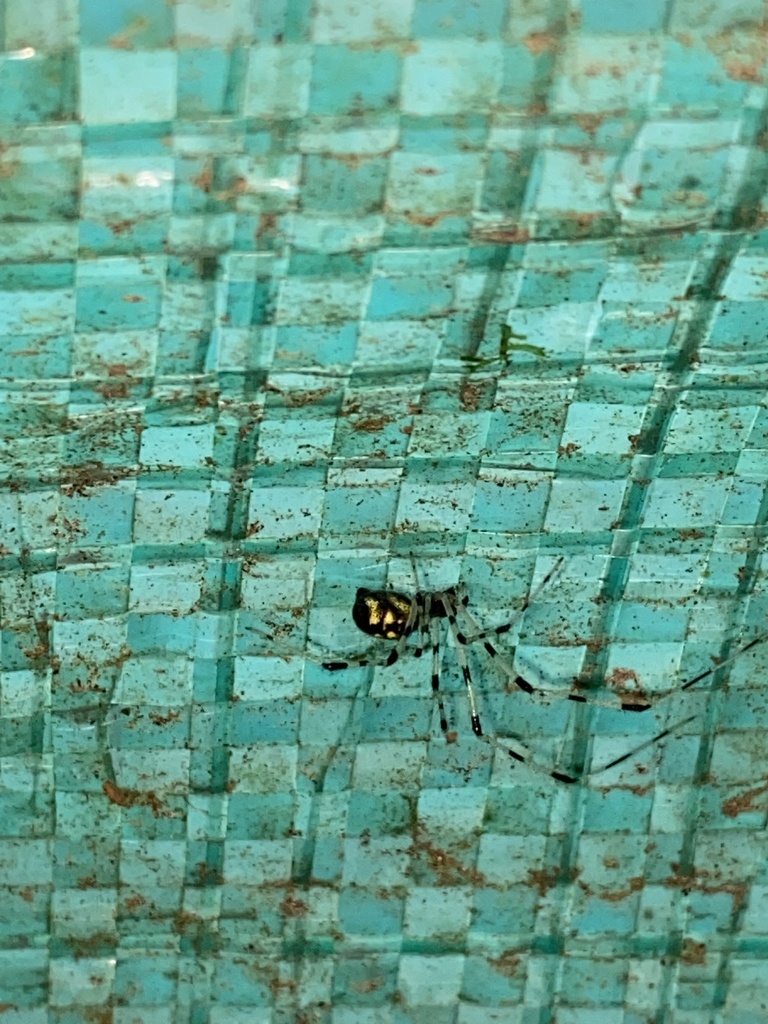 Chrysso from Carrera 34, Medellín, Antioquia, CO on October 16, 2022 at ...