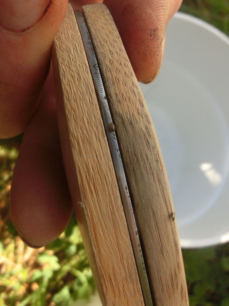 True Bugs from Storemosevej 5, 4944 Fejø, Denmark on August 31, 2022 at ...