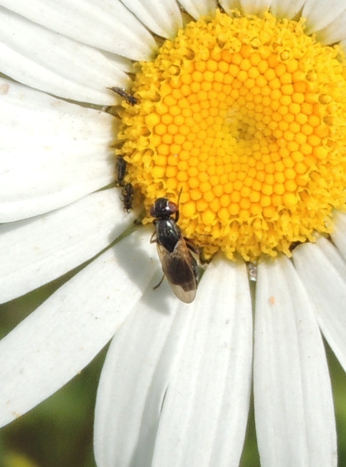 Ulidia from Железногорский р-н, Курская обл., Россия on June 29, 2022 ...