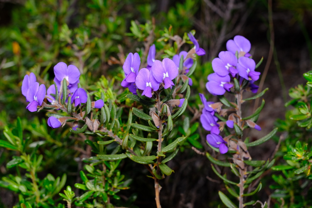 Devil's Pins from Hill River WA 6521, Australia on July 22, 2022 at 08: ...