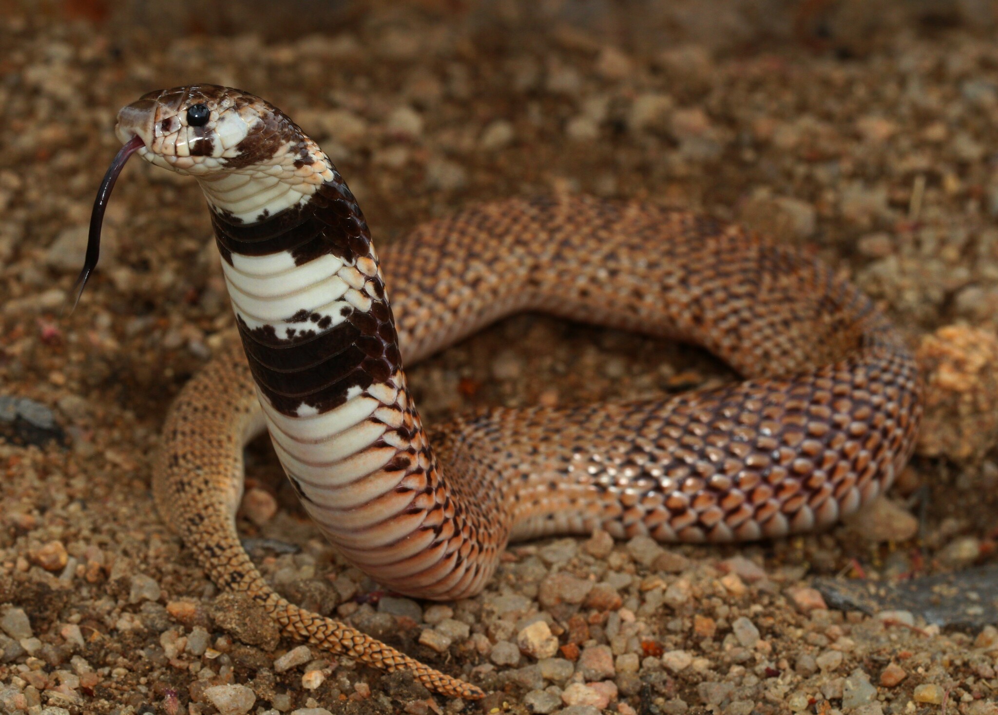 There was Christ in the metal shell on Tumblr