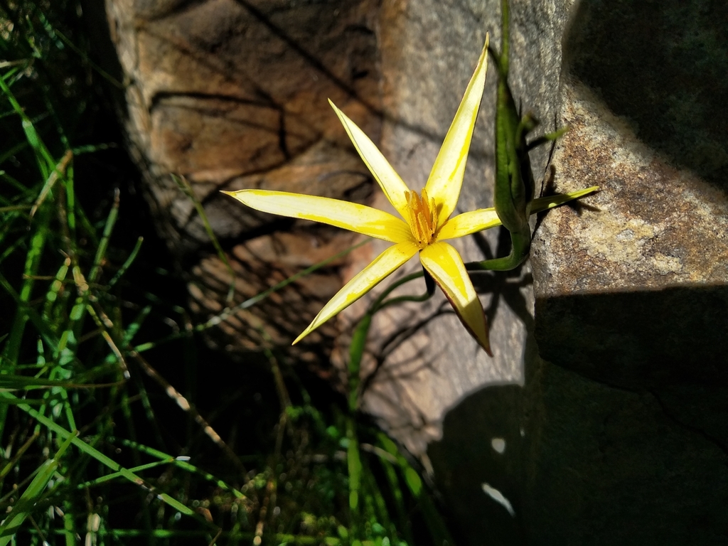 Stars from Table Mountain (Nature Reserve), Cape Town, South Africa on ...