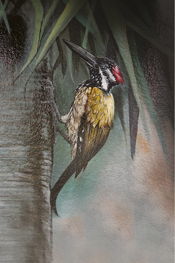 Black-rumped Flameback / மரங்கொத்தி / Marangkotti (Birds of ...