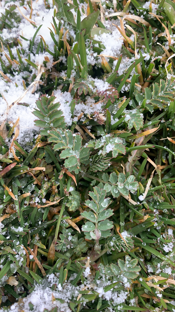 Bidibid from Grytviken, GS on October 31, 2022 at 04:50 PM by ...