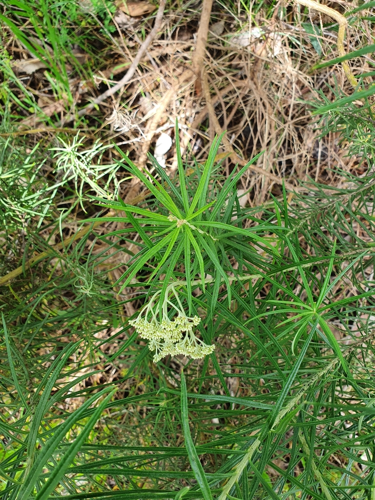 Life from Baranduda VIC 3691, Australia on November 02, 2022 at 12:08 ...