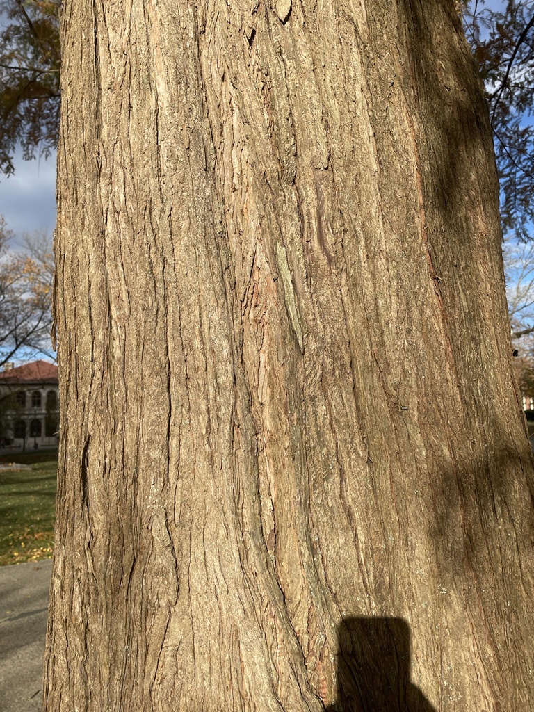 Something from The Ohio State University, Columbus, OH, US on November ...