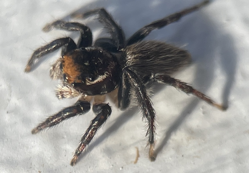 White Banded House Jumper from Frankston South, VIC, AU on November 06 ...