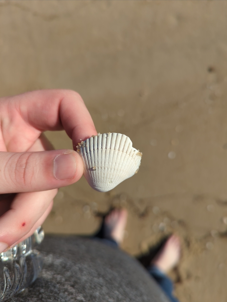 Blood Ark from Sussex County, DE, USA on November 12, 2022 at 01:33 PM ...