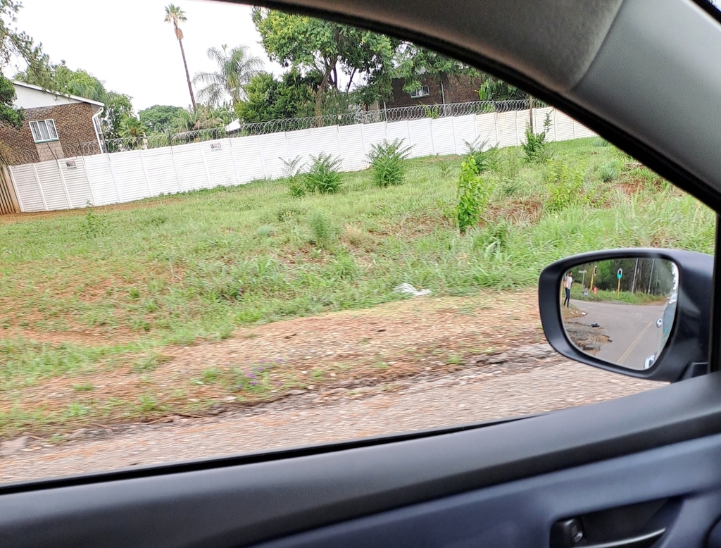 tree-of-heaven from Ashwood Drive & Old Johannesburg Road, Valhalla ...