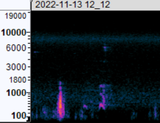 Barred Owl from Pleasant Prairie, WI, USA on November 13, 2022 at 12:14 ...