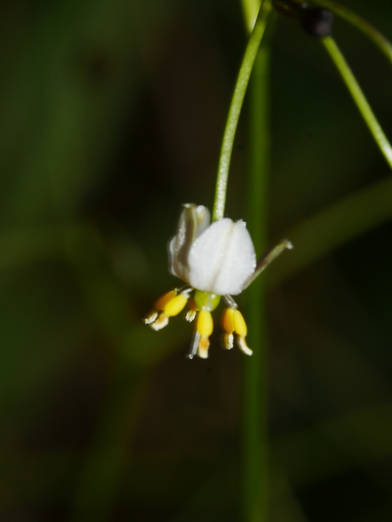 Ink Berry from Shannon, New Zealand on November 25, 2022 at 03:00 PM by ...