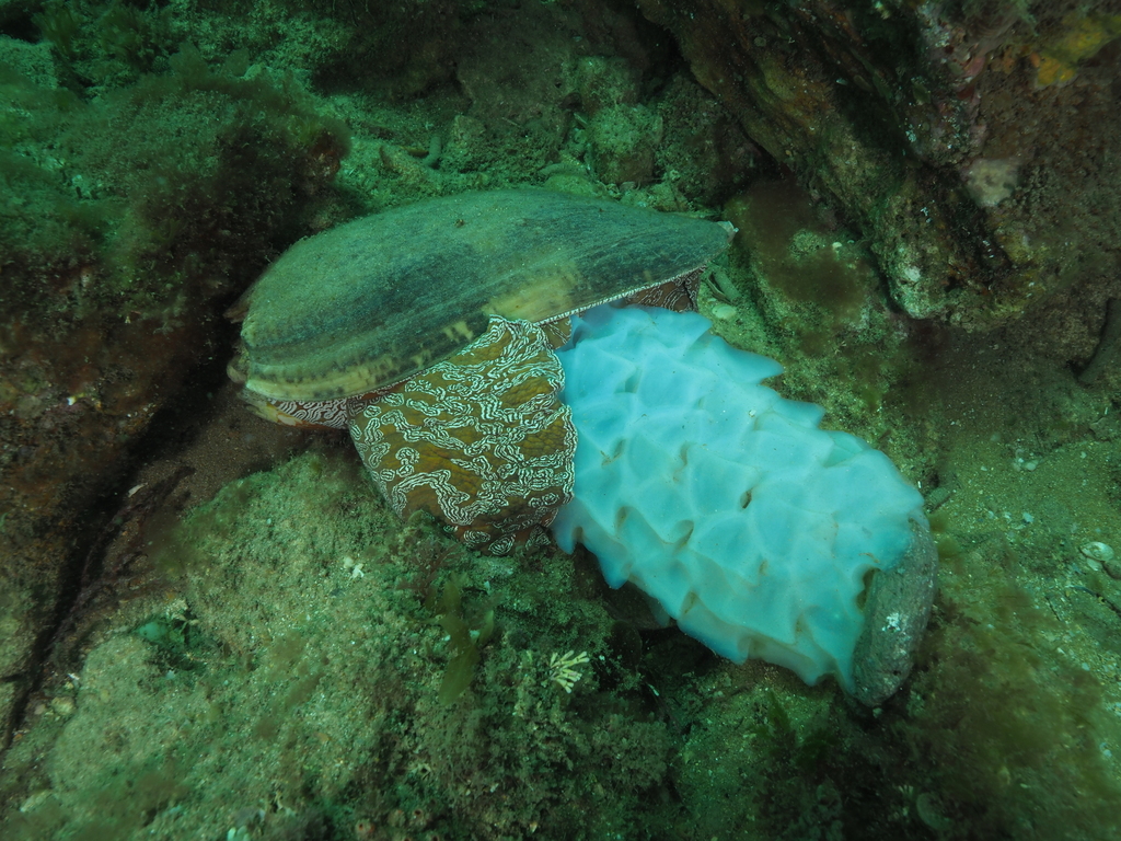 Southern Baler from Bunbury WA, Australia on November 29, 2022 at 11:04 ...