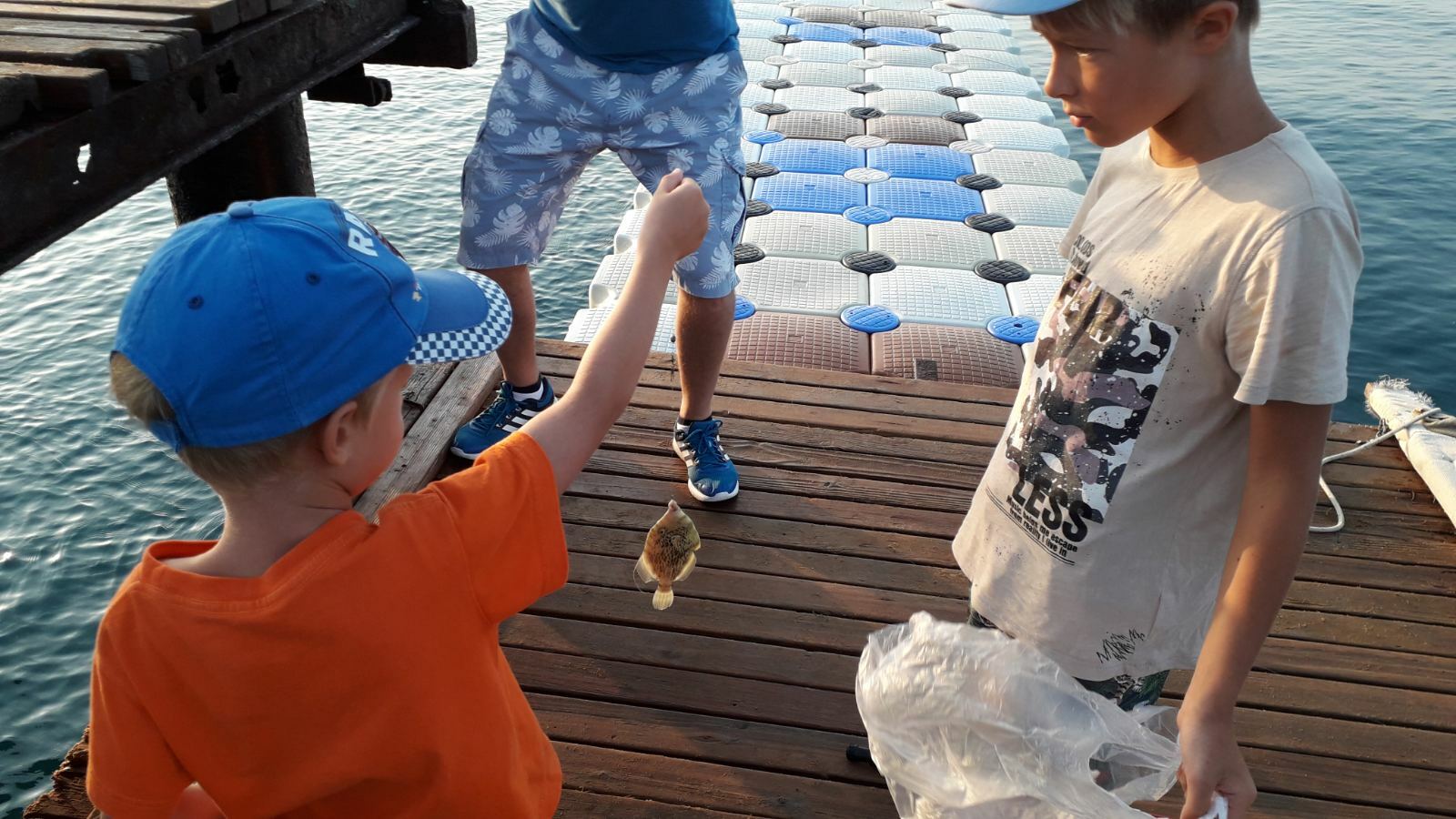 Stephanolepis diaspros Fraser-Brunner, 1940