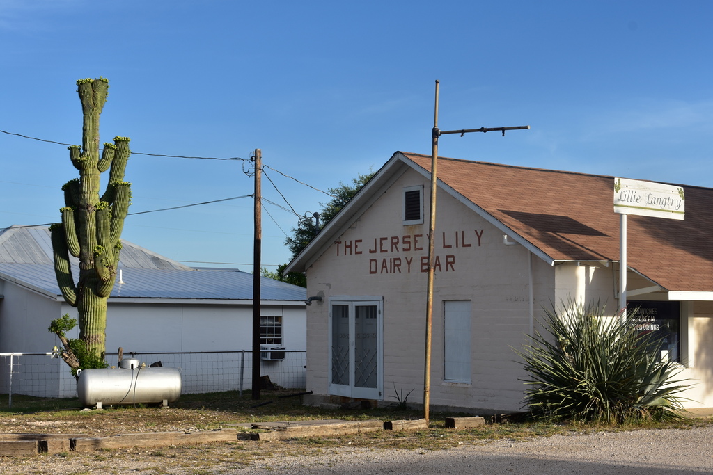 saguaro from Langtry, TX 78871, USA on May 7, 2018 at 06:29 PM by David ...