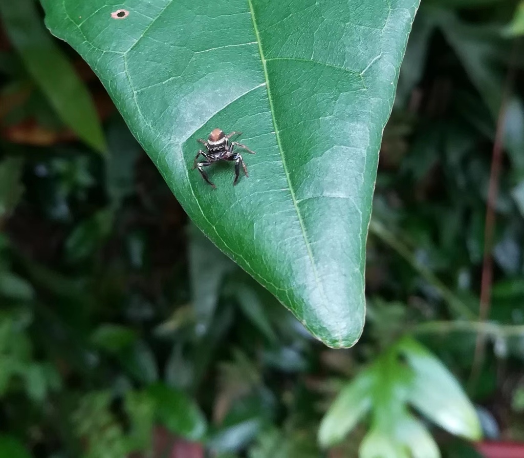 Metallic blue jumper from 14 Kung Chong Rd, Singapore 159150 on ...