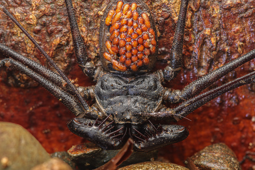 Photo 247695722, (c) Mason S., some rights reserved (CC BY-NC ...