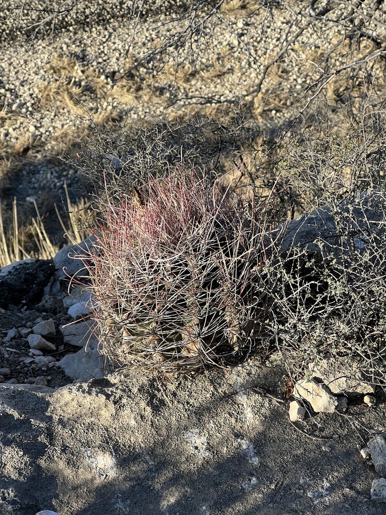 Turk's Head from Sanderson Hwy, Fort Stockton, TX, US on December 15 ...