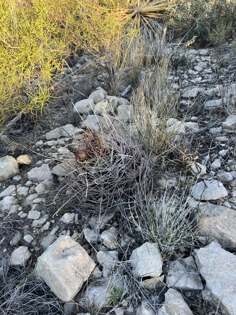 Turk's Head from Sanderson Hwy, Fort Stockton, TX, US on December 15 ...