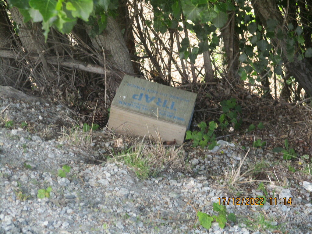 Something from Frankton, Queenstown, New Zealand on December 17, 2022 ...