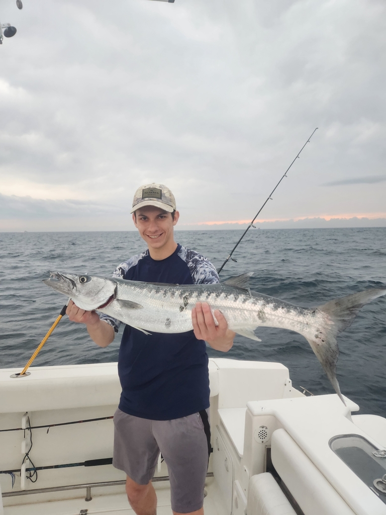 Great Barracuda in December 2022 by Alexis Desmarais · iNaturalist