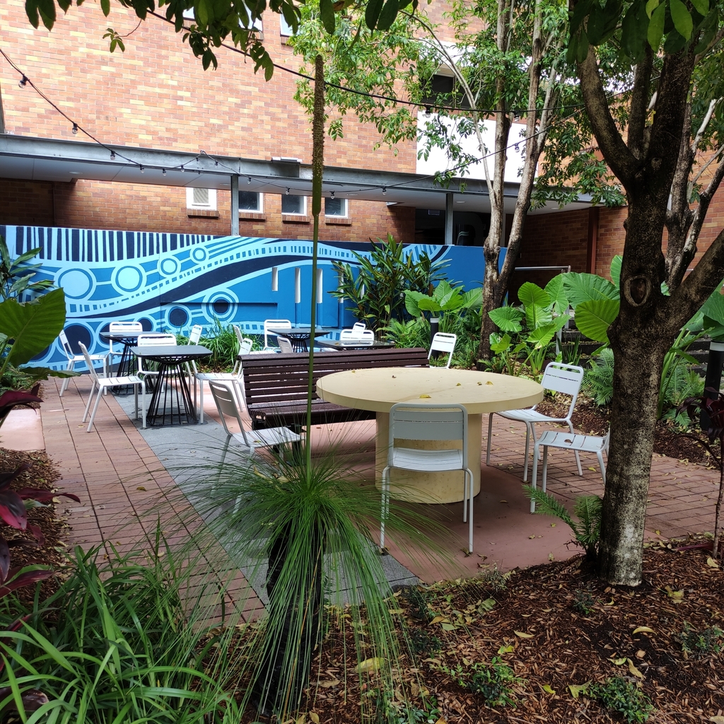 plants from QUT B Block, Brisbane City QLD 4000, Australia on December ...