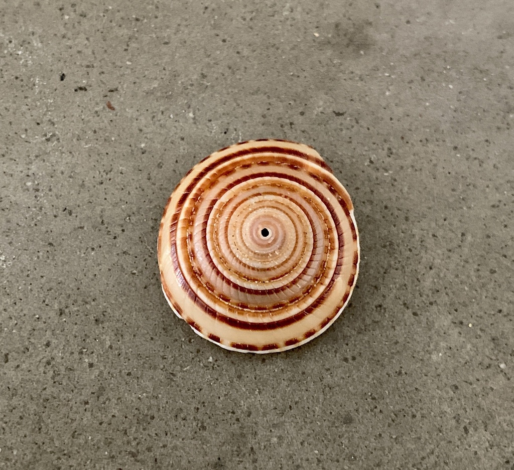 Clear Sundial from Coral Sea, Main Beach, QLD, AU on December 25, 2022 ...