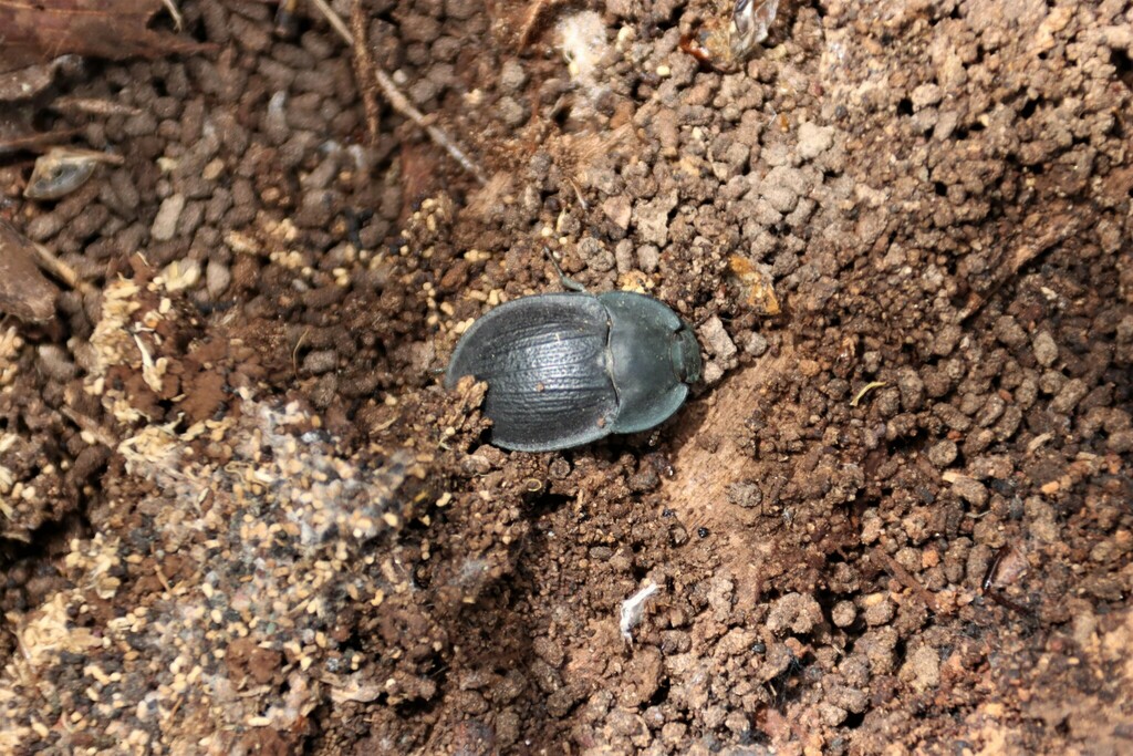 Heleina from Melbourne VIC, Australia on December 31, 2022 at 02:08 PM ...