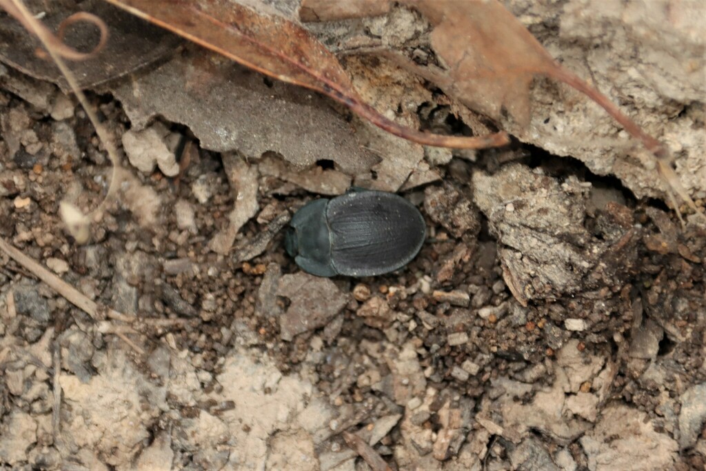 Heleina from Melbourne VIC, Australia on December 28, 2022 at 02:31 PM ...