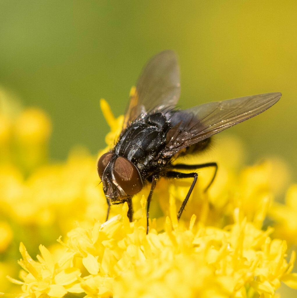 Graphomya from Brooklyn, NY, USA on September 17, 2022 at 03:17 PM by ...