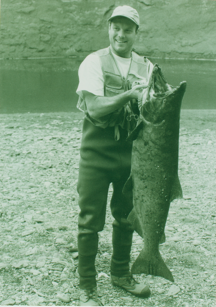 Chinook Salmon from Trapper Creek, AK, USA on July 6, 1995 at 10:38 AM ...