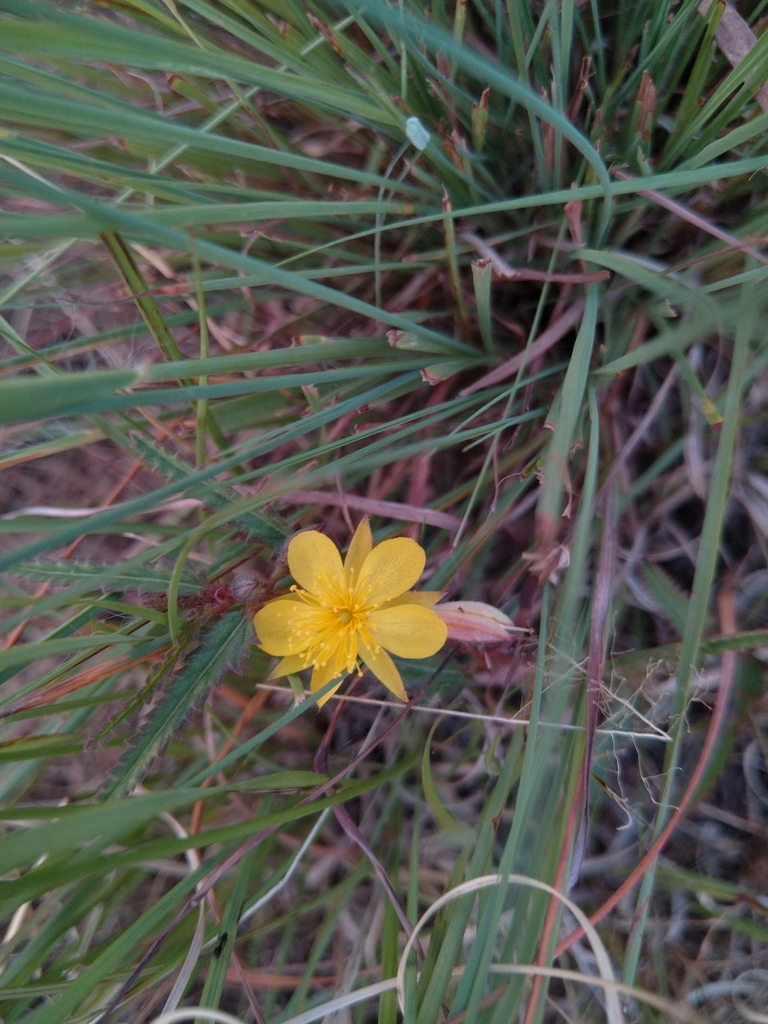 Gusha from Carletonville, 2499, South Africa on January 25, 2023 at 06: ...