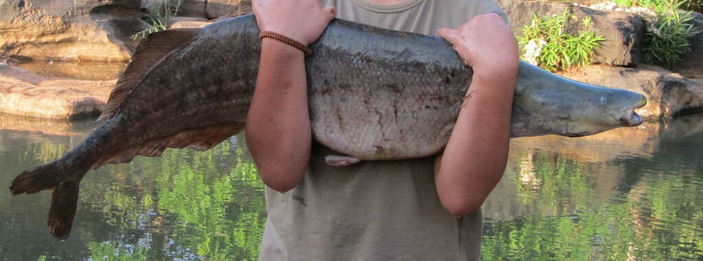 Cornish Jack from Houet, Burkina Faso on March 17, 2013 at 07:42 PM by ...